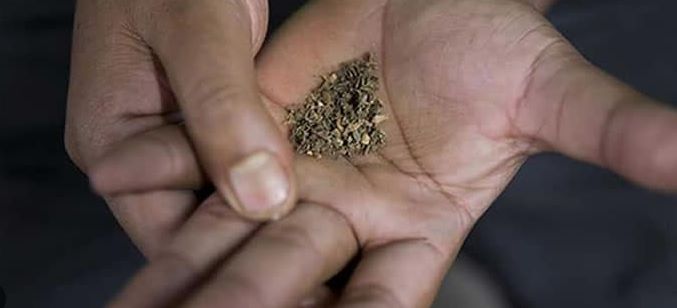 Understanding Gutkha: What It Is and Its Effects – Smotect Azaadi