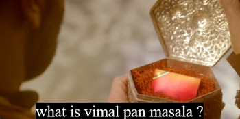 What is Vimal Pan Masala? – Smotect Azaadi