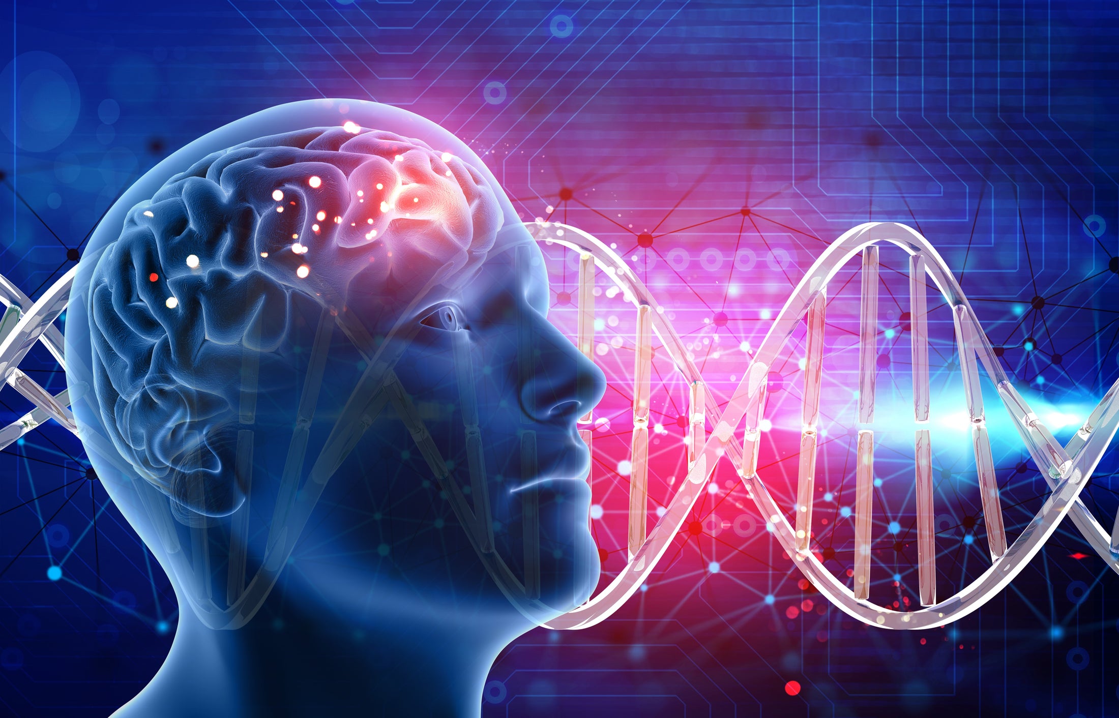 Nicotine and Brain: Side Effects, Health Risks, and More – Smotect Azaadi